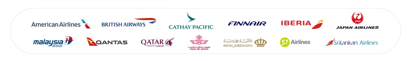 How Does Oneworld Alliance Work – Points Advisor